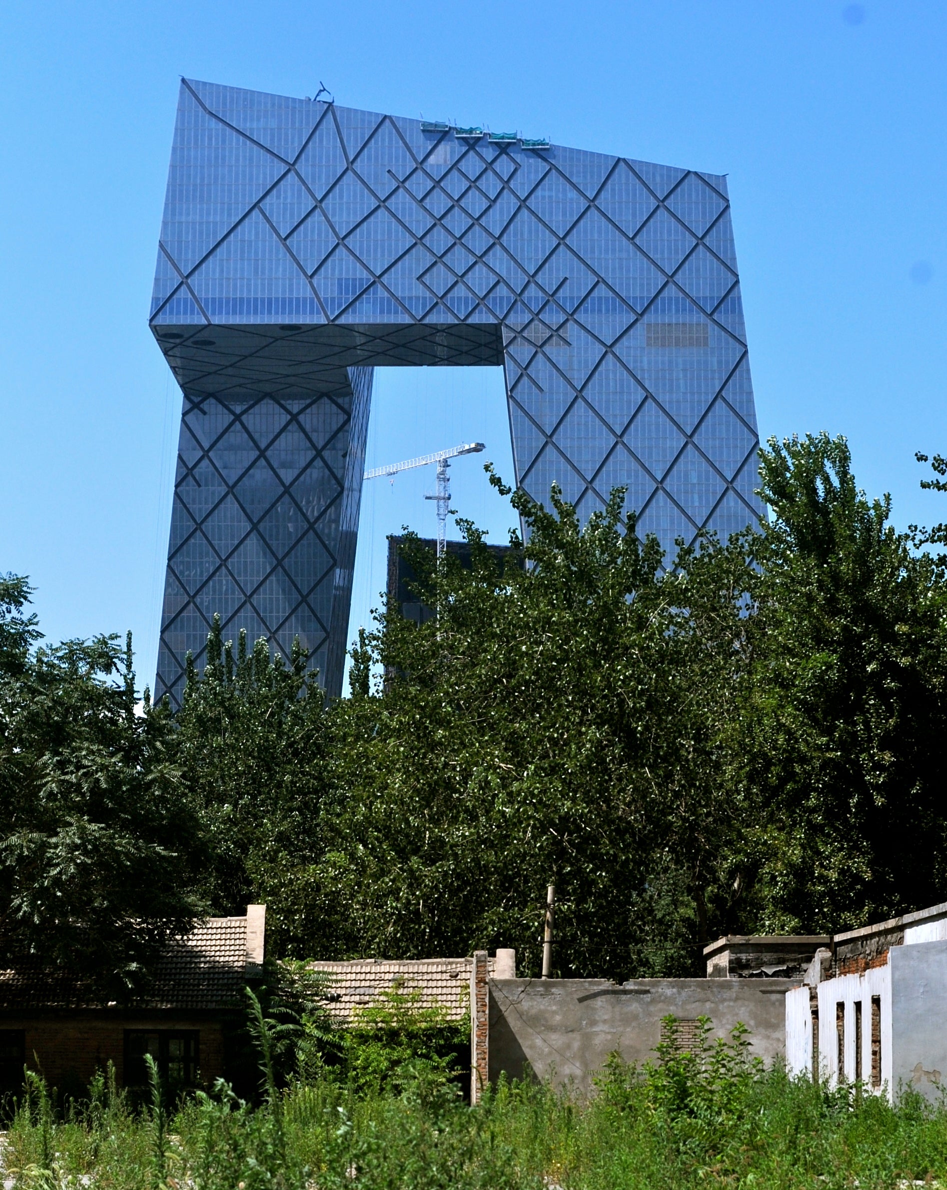 CCTV-Incredible Shape Shifter - Larry Speck